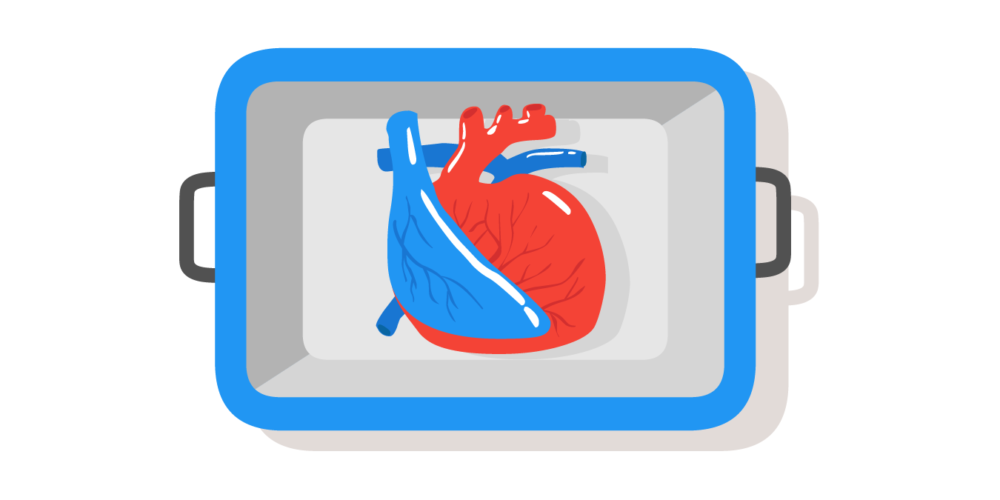 Japanese body language and gestures - Lingualift